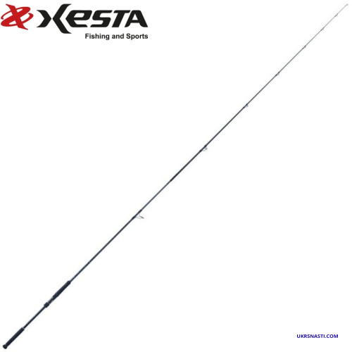 Спиннинг Xesta Runway XR